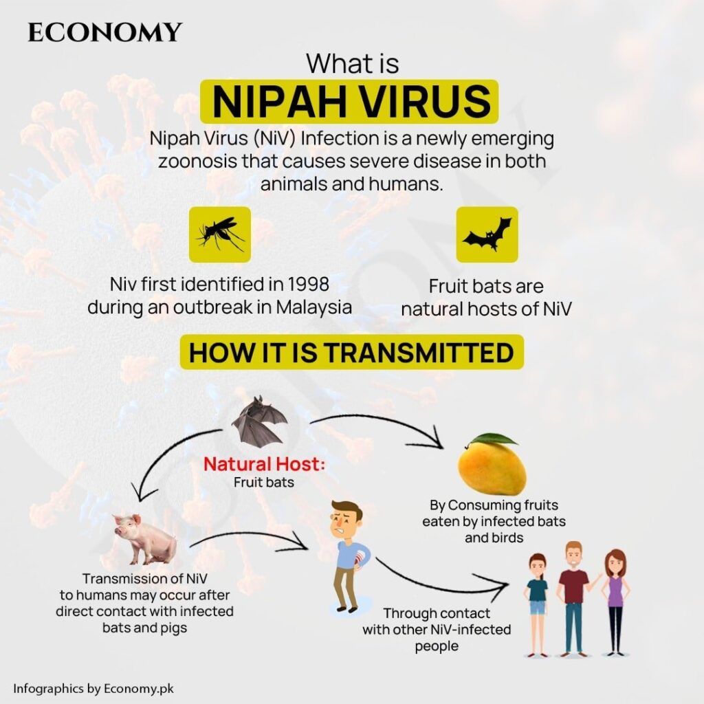 What is Nipah Virus - Economy.pk